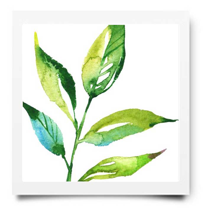 AQUAREL INITIATIE – Atelier 13